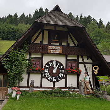 World’s FIRST largest Cuckoo clock! – WIMA GB